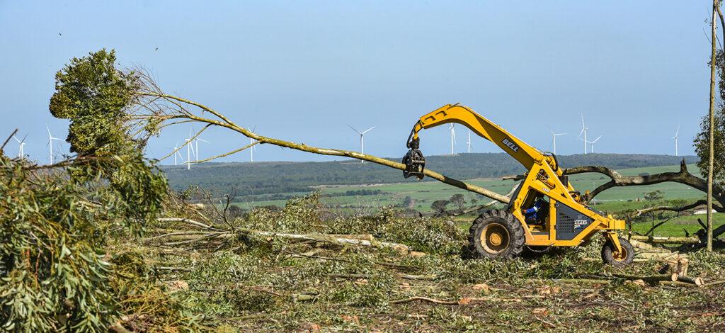 Bell Loggers support renewable energy creation at Coega Biomass Centre ...