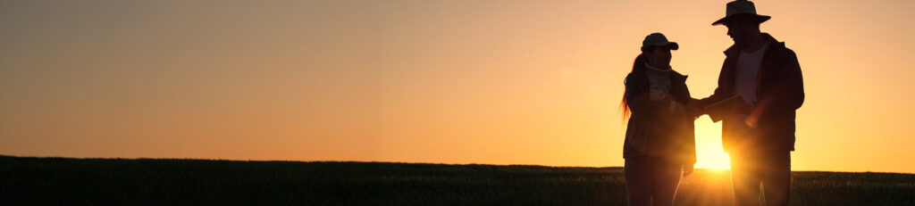 Timber Trucks - Bell Equipment