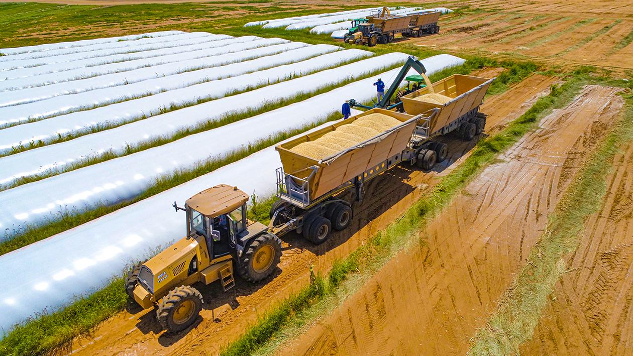 LFC Logistiek reaps the benefits of Bell Haulage Tractors - Bell Equipment