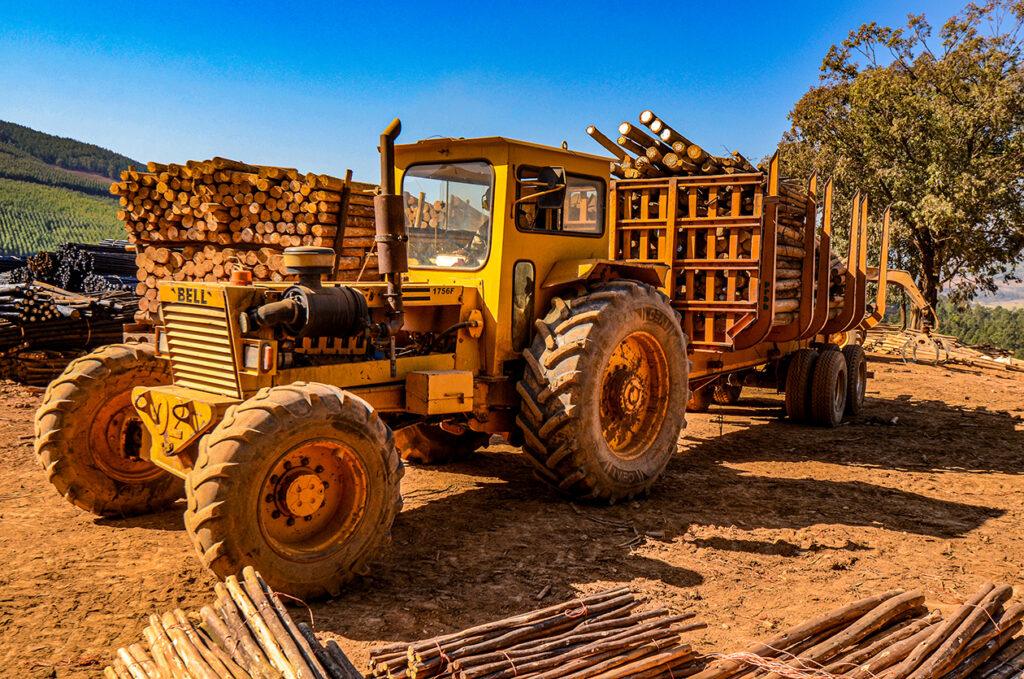 Loyal timber customer Kanyi Ilanga Trading celebrates 21st anniversary ...