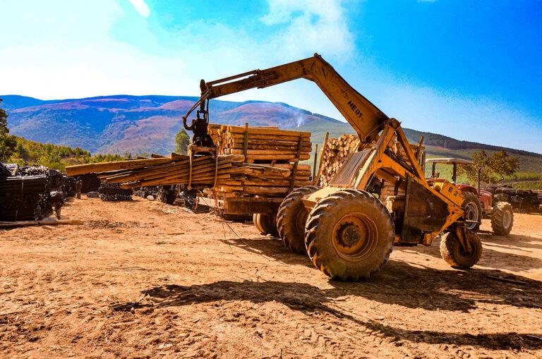 Loyal timber customer Kanyi Ilanga Trading celebrates 21st anniversary ...